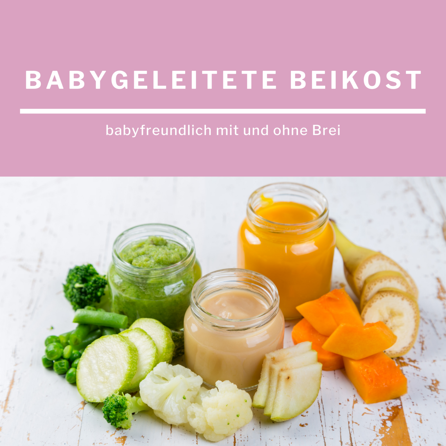 Babygeleitete Beikost | gewickelt & gebunden